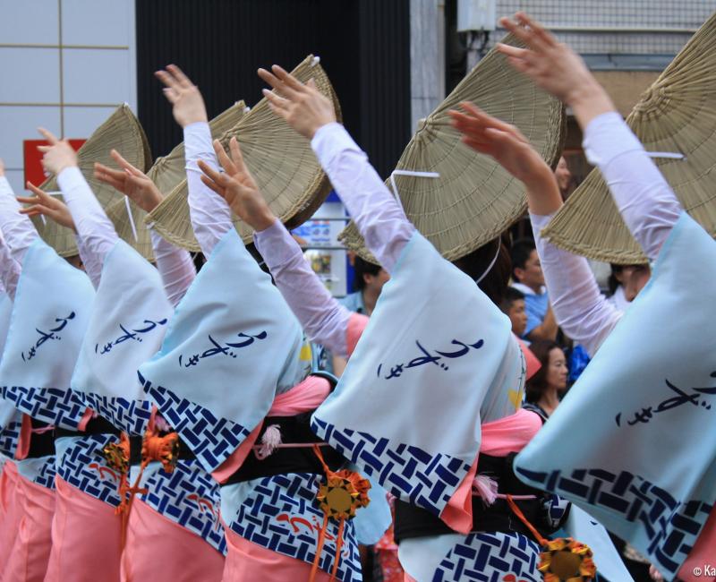 Awa-odori - Tokushima’s Vigorous Dance Festival