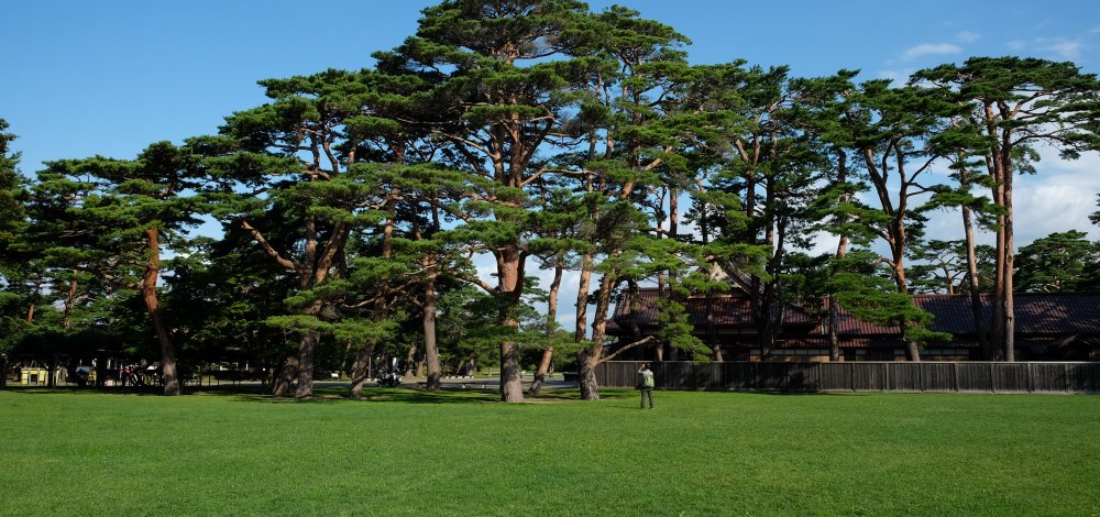 Japan travel guide and Japanese culture | Kanpai