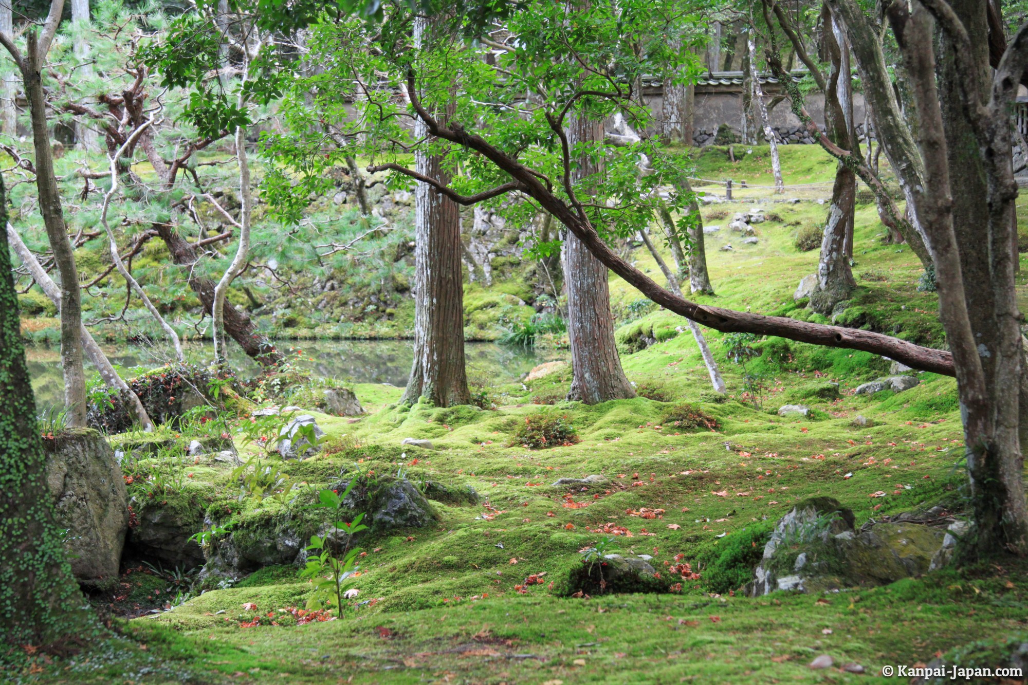 Saiho-ji - The Sublime Moss Temple in Kyoto