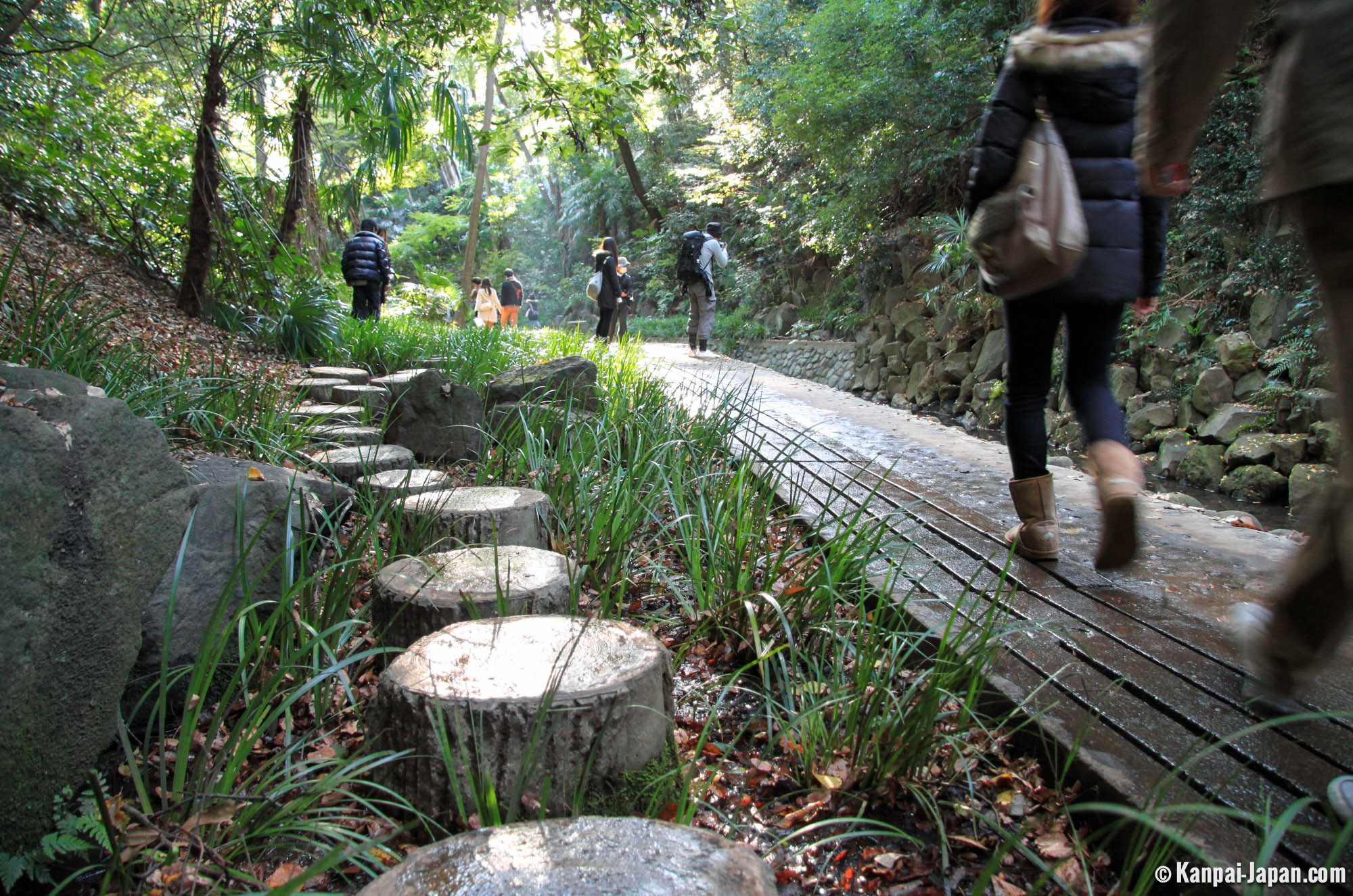 Todoroki Valley - Tokyo's small jungle