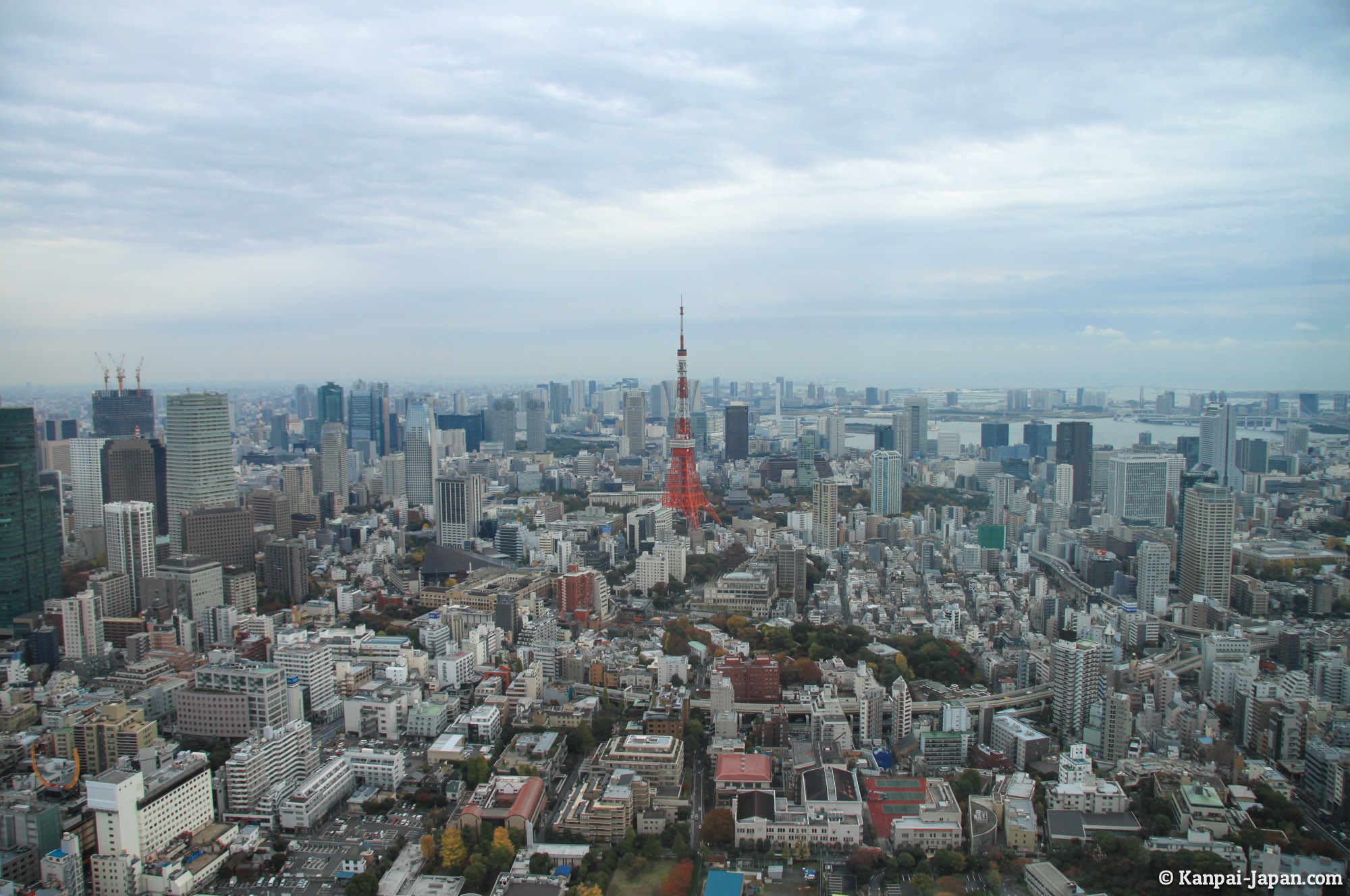 Minato - The Southern center of the capital