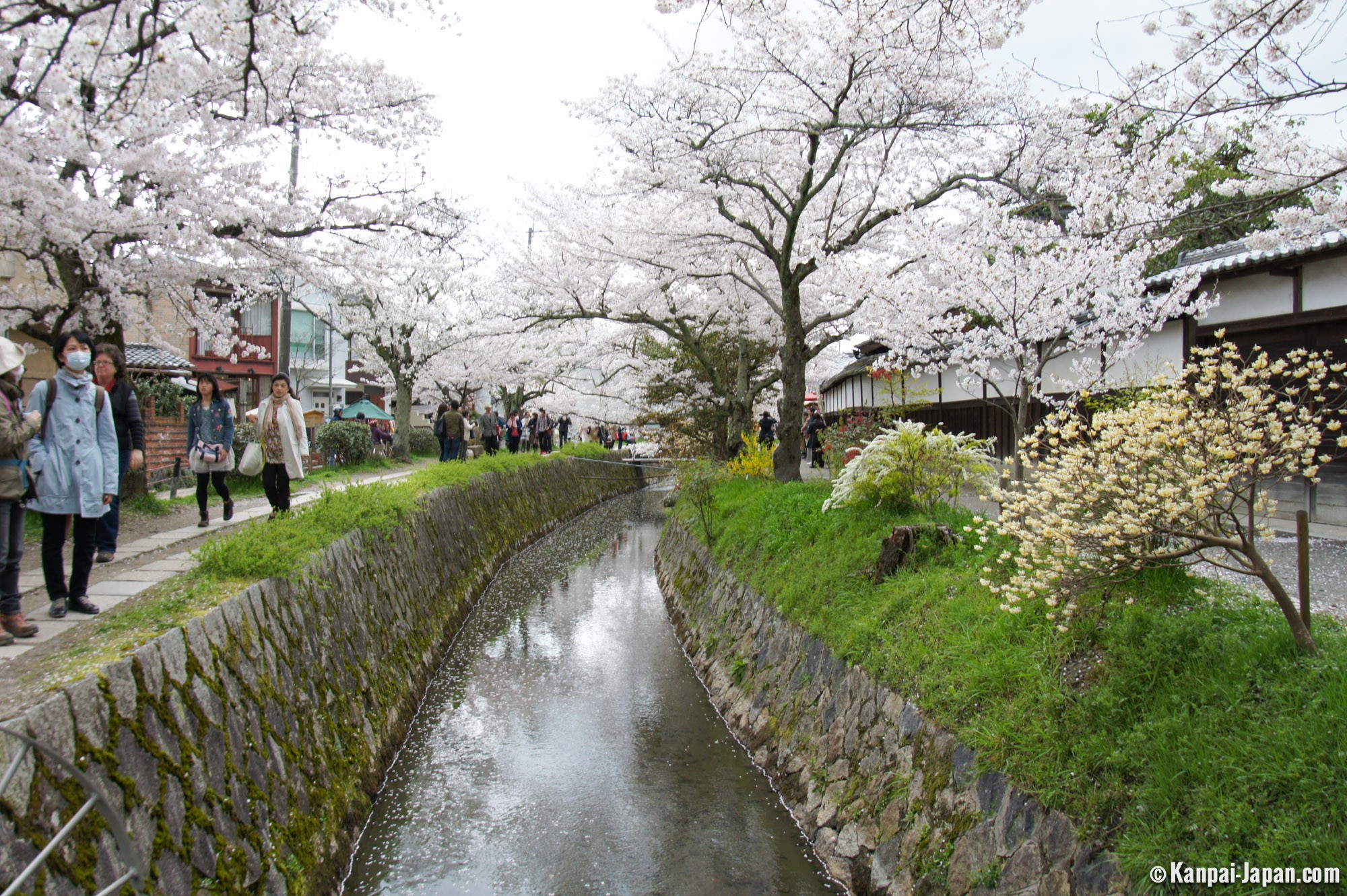 Philosopher's path - Kyoto's zen walk