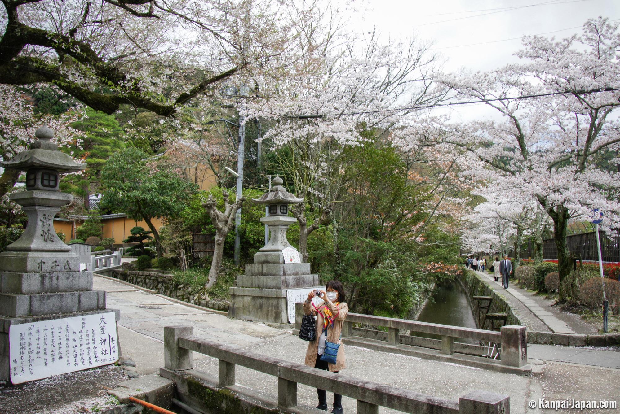 Philosopher's Path - Kyoto's Zen Walk