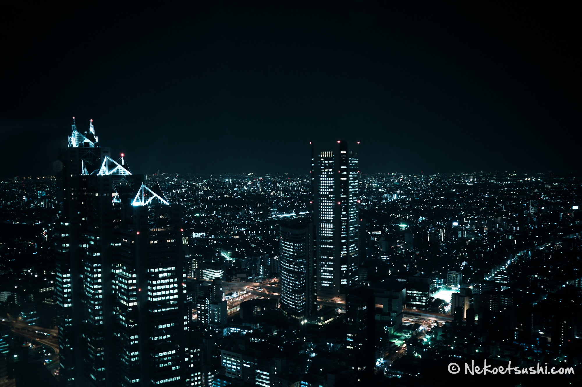 Tokyo Metropolitan Government Building - Shinjuku's Twin Towers Observatory