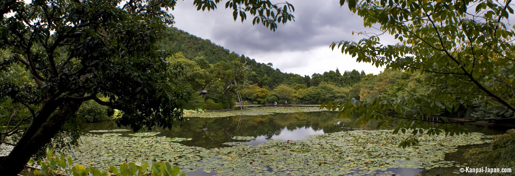 Things to Do in Japan in September