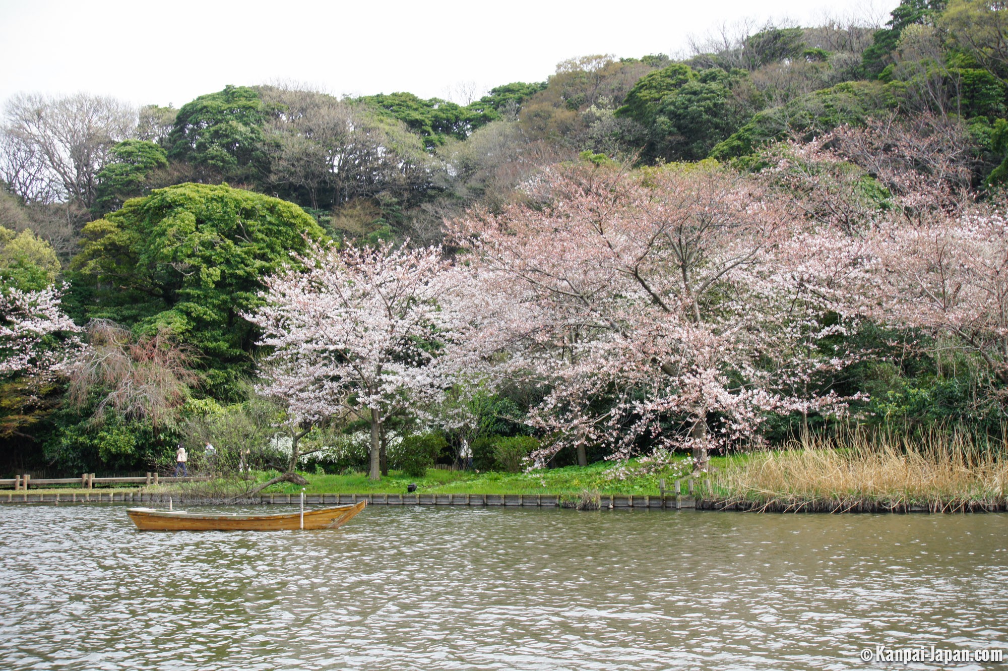 Sankei-en - The Traditional Japanese Garden in Yokohama