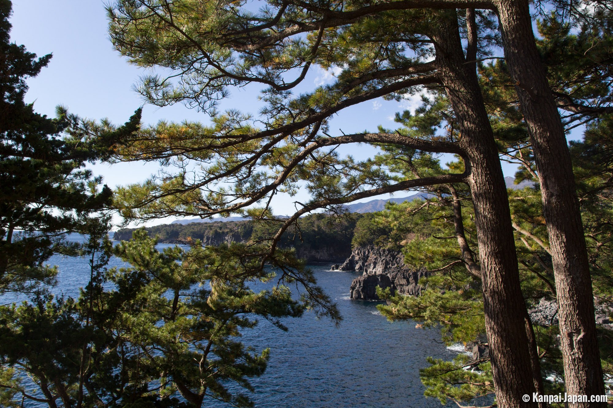 Izu Peninsula - Shizuoka’s Seaside Destination