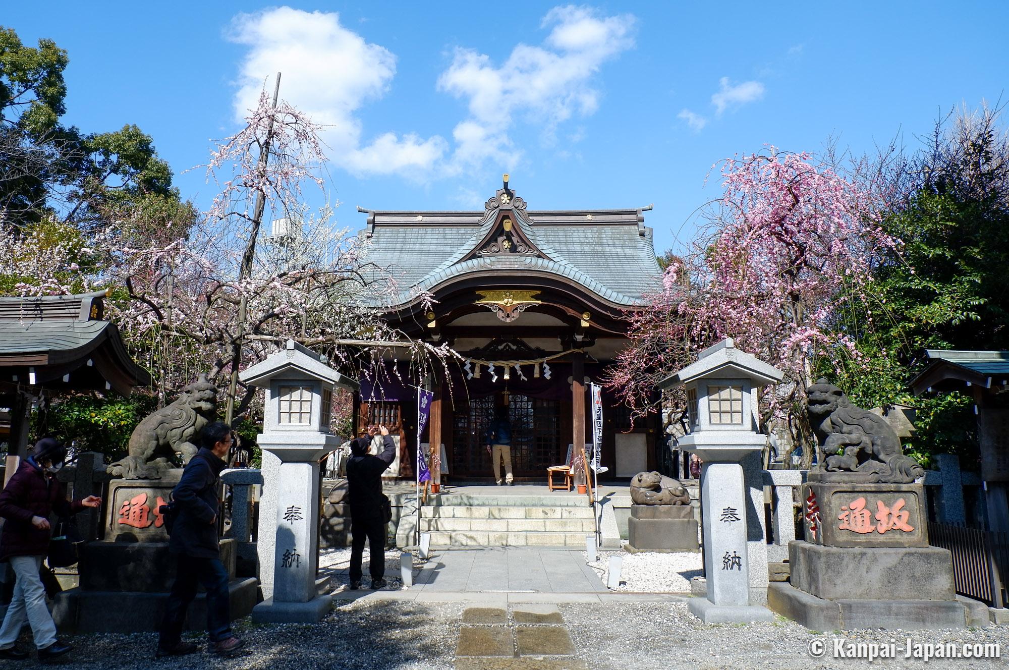 Ushi-Tenjin Kitano-jinja - The Hidden Shrine of Weeping Plum Trees