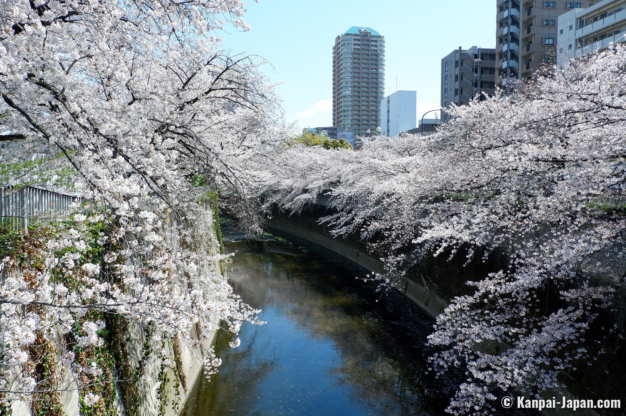 Omokage-bashi - The Cherry Tree Bridge Over the Kanda River
