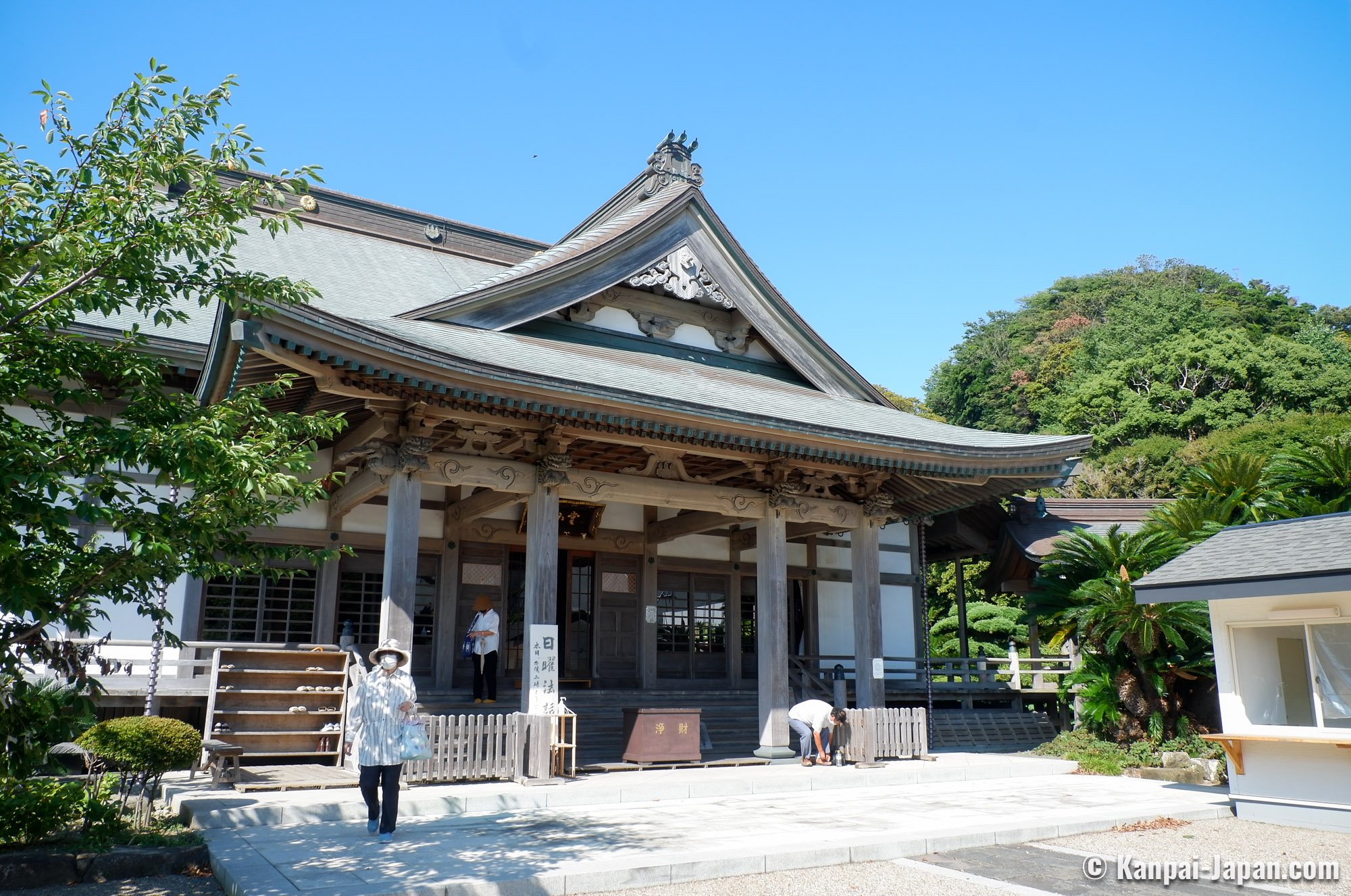 Komyo-ji - 🪷 The Ancient Lotus Temple in Kamakura