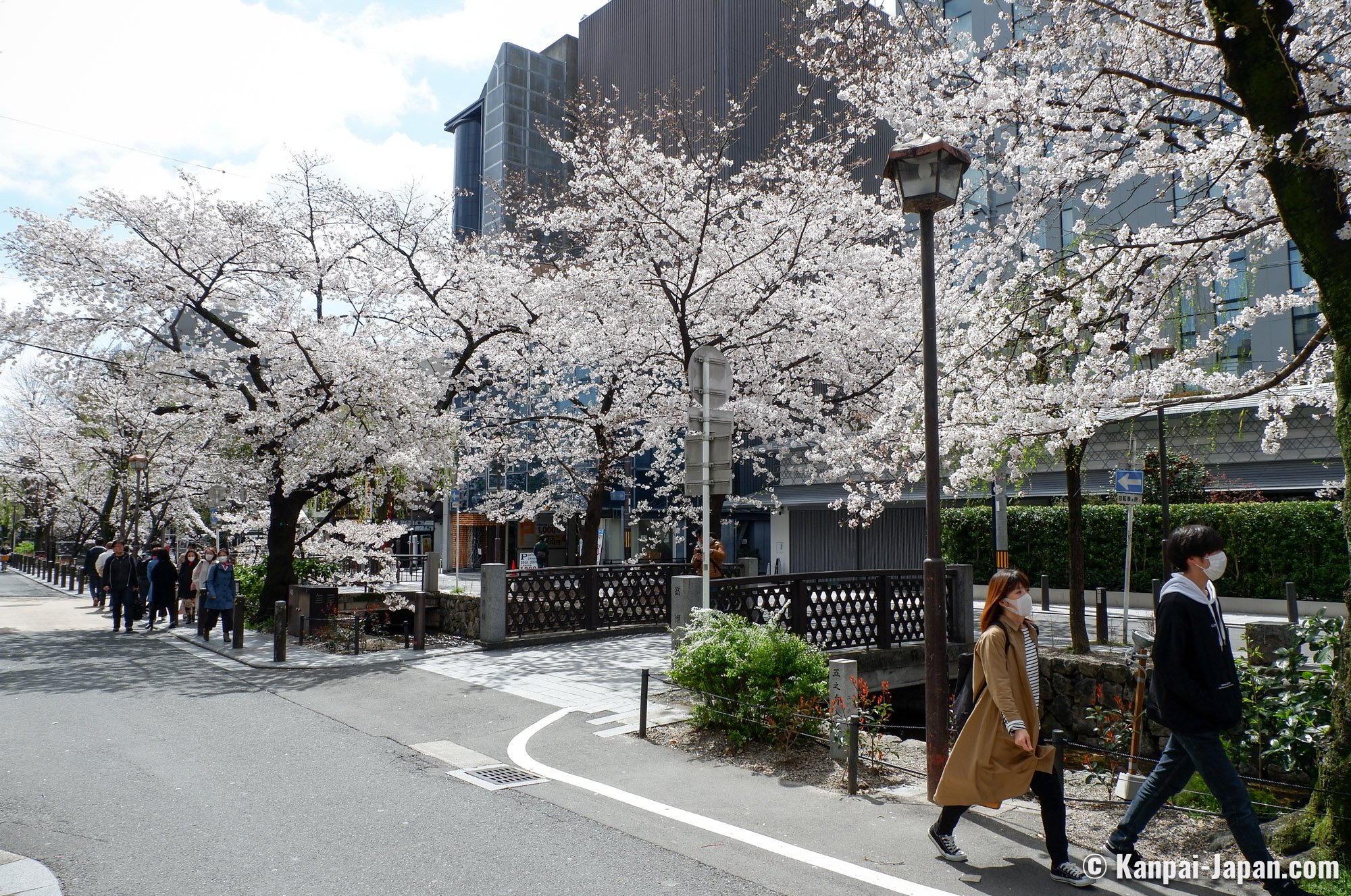 Kiyamachi-dori - Kyoto Cherry Trees Along the Takase River