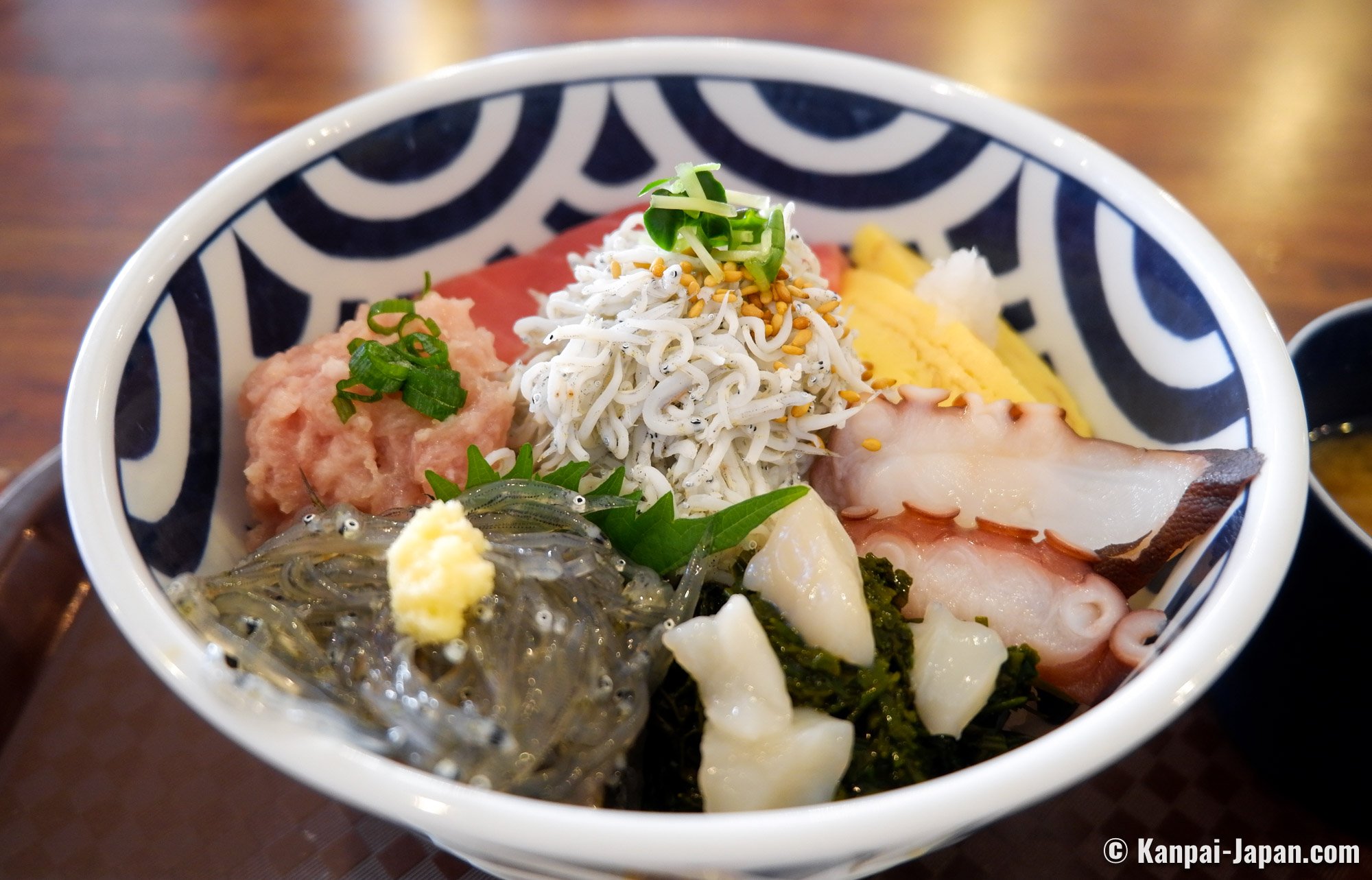 Hase Shokudo - Shirasu Dishes in Kamakura