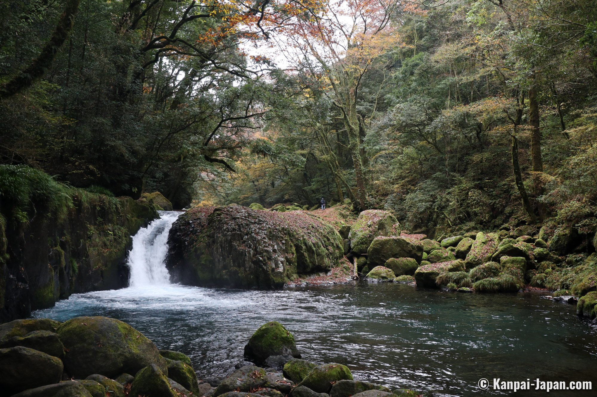 Kikuchi Gorge - Forest Bathing in Kumamoto