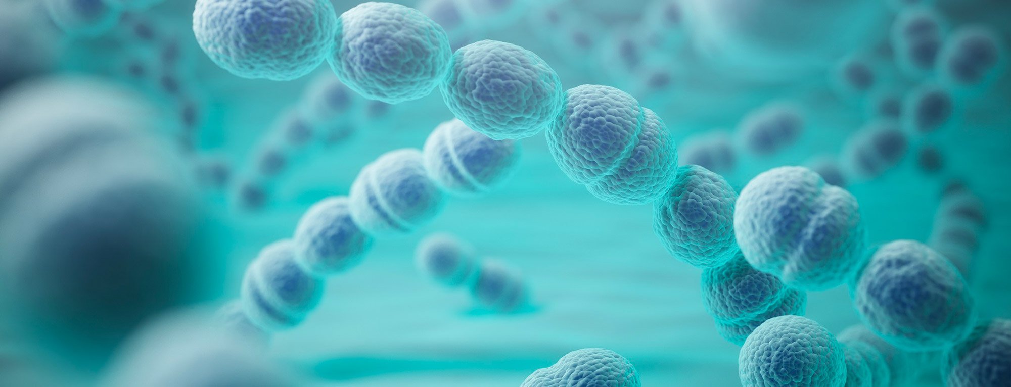 Group A Streptococcus in Japan: Spring 2024 Buzzing Bacteria ...