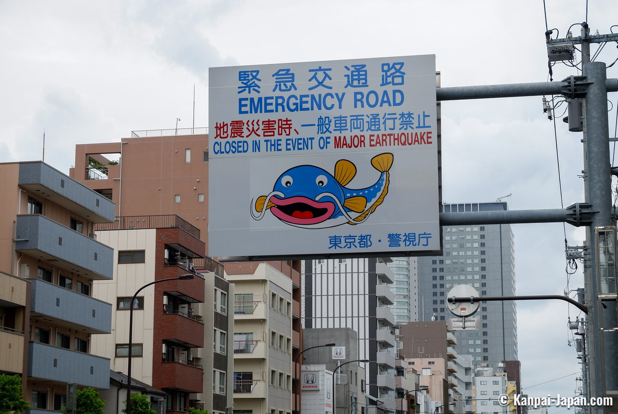 The Legend of Namazu - 🐟🐈 The Catfish Causing Earthquakes In Japan