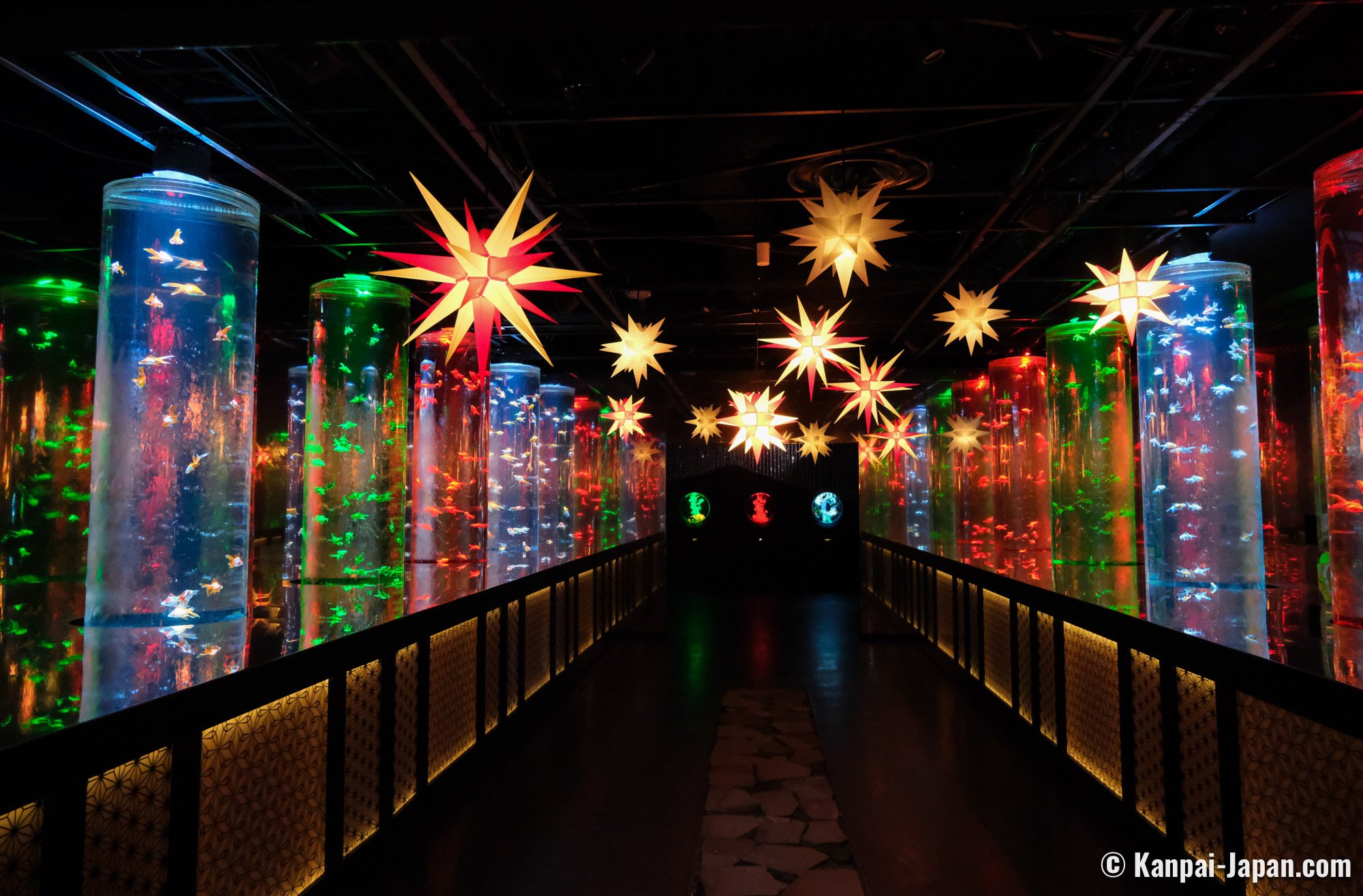 Art Aquarium Museum GINZA - Precious Goldfish and Traditional Arts